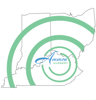 Homepage - Ammon Nursery